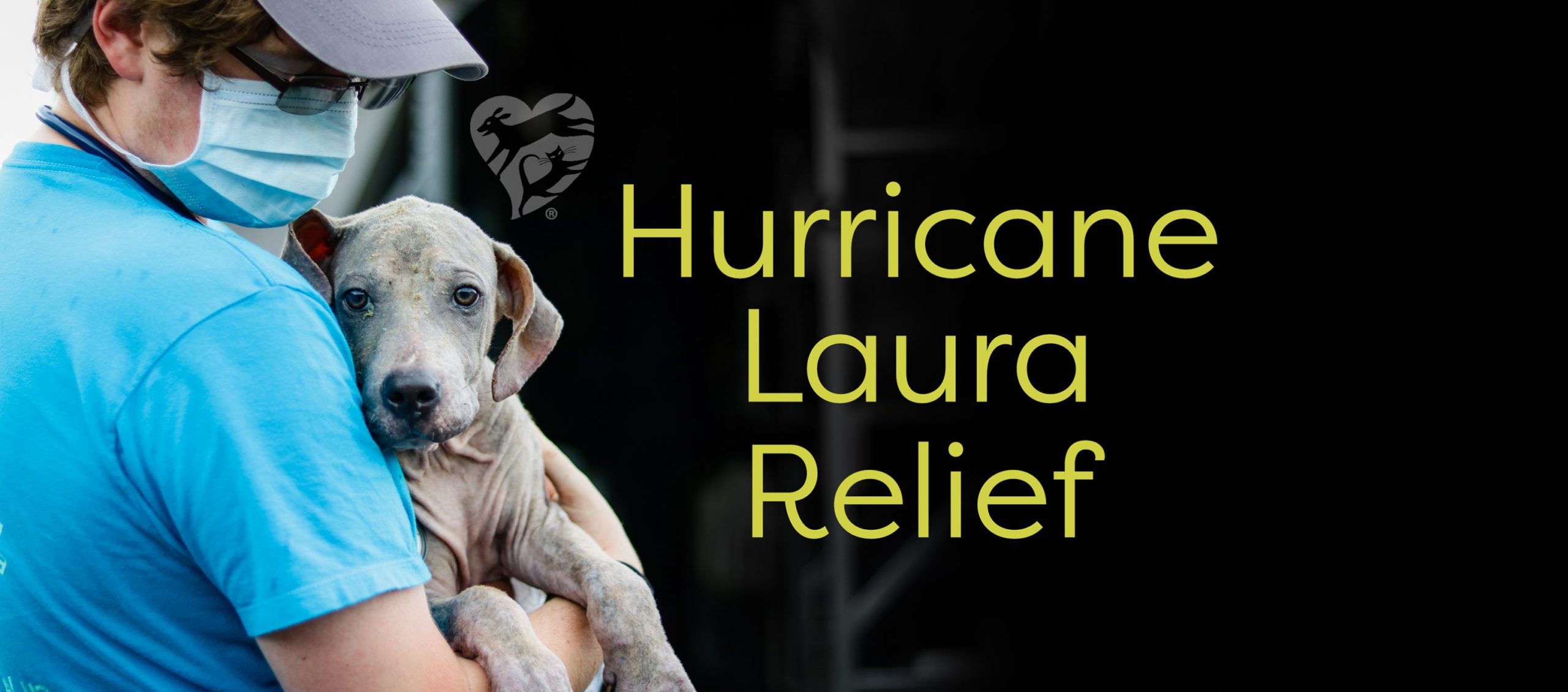 Hurricane Laura Relief Efforts - Louisiana SPCA