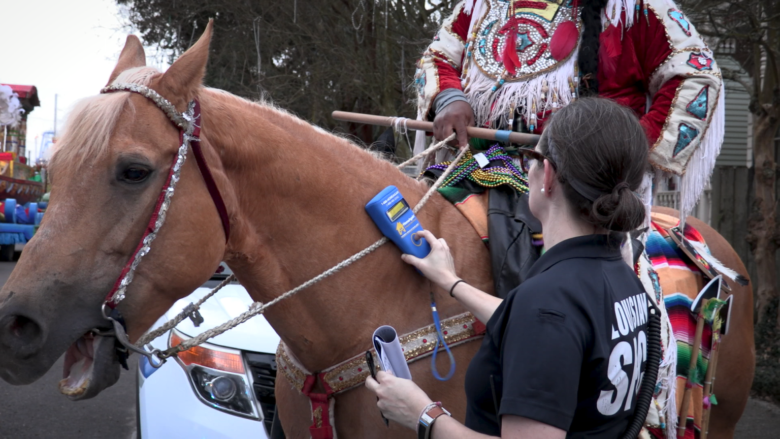 Humane Law FAQs - Louisiana SPCA