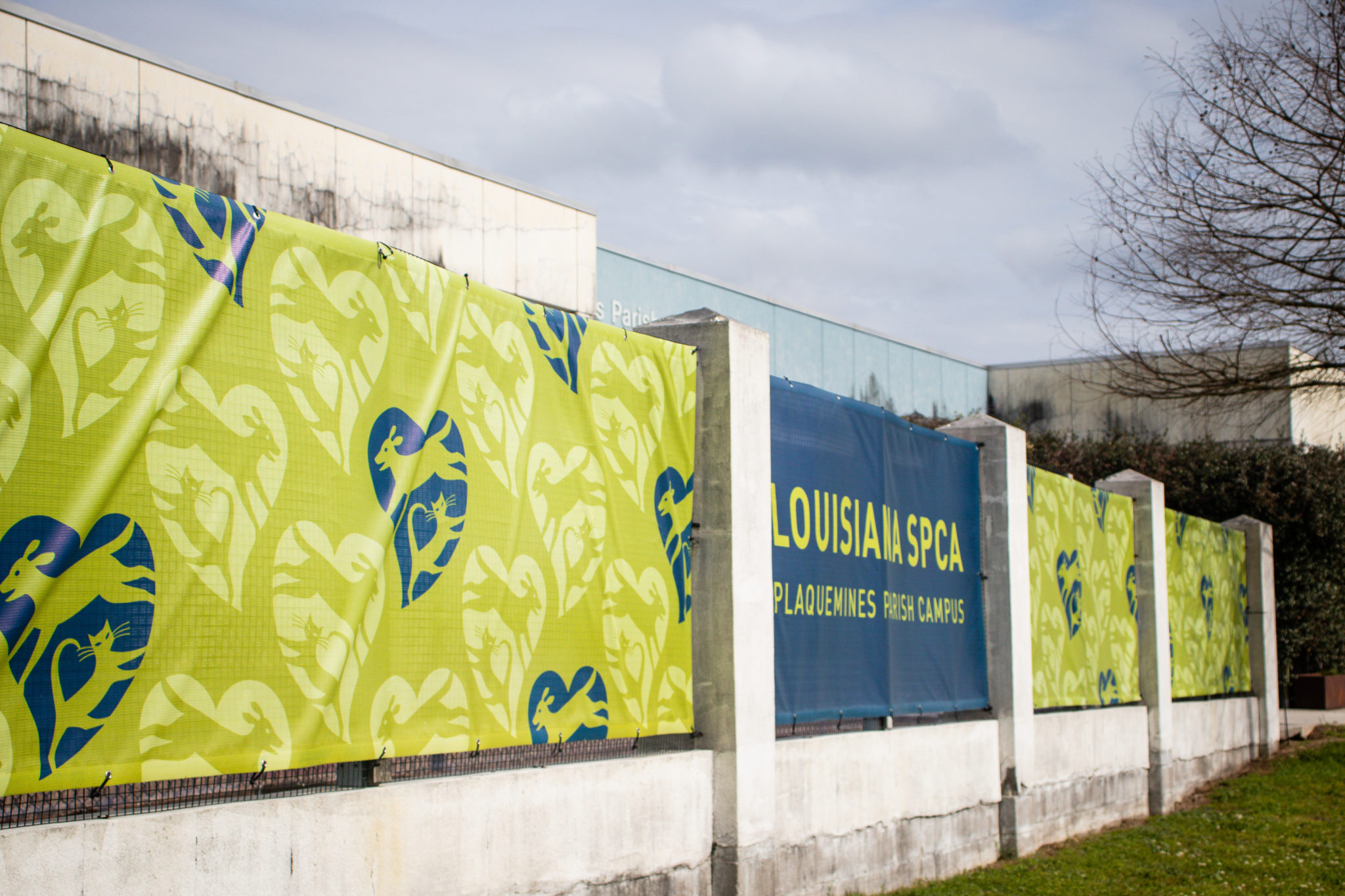 Home - Louisiana SPCA