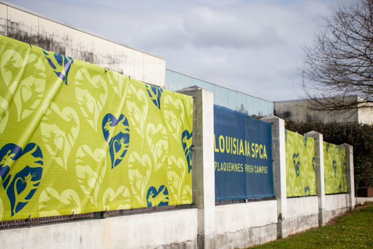 Home - Louisiana SPCA