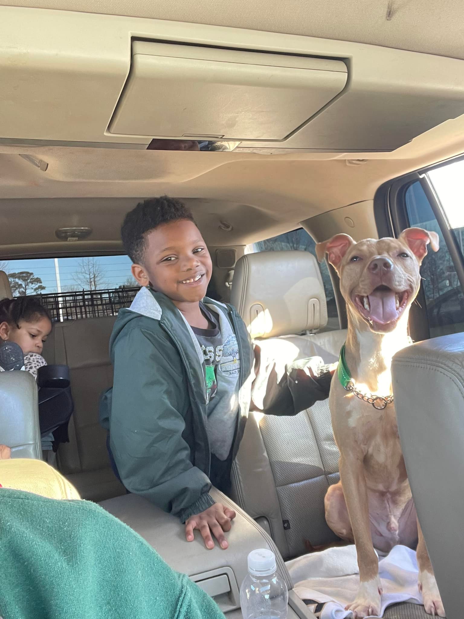 Home - Louisiana SPCA